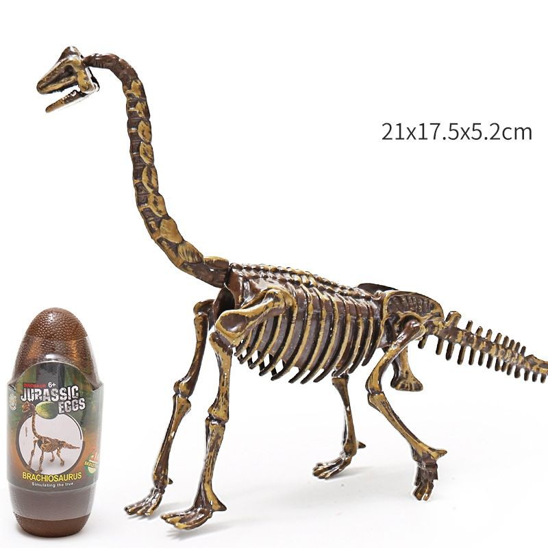 Brachiosaurus Skeleton Model