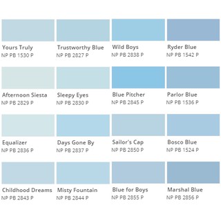 Nippon Paint Vinilex 5000 ( 1 Litre ) BLUE Base 1 | Shopee Singapore