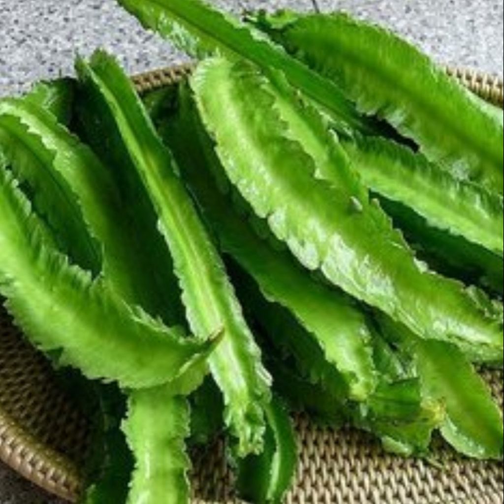4 Kacang Botol (winged beans) vegetable seeds (from SG) | Shopee Singapore