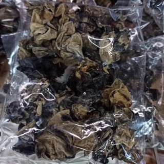 cendawan hitam | black mushroom | fungus | dried mushroom | cendawan ...