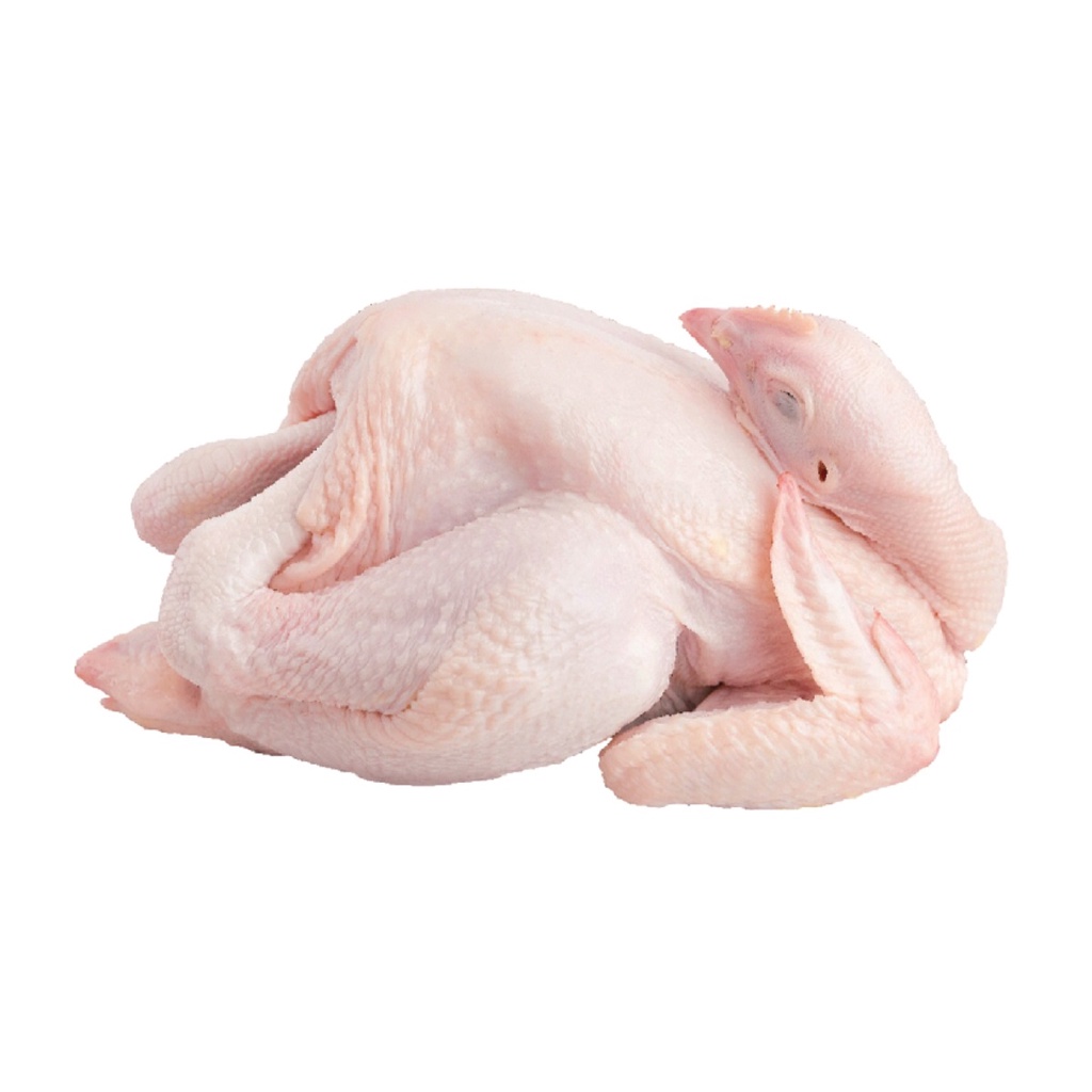 Fresh Normal Whole Chicken-1KG | Shopee Singapore