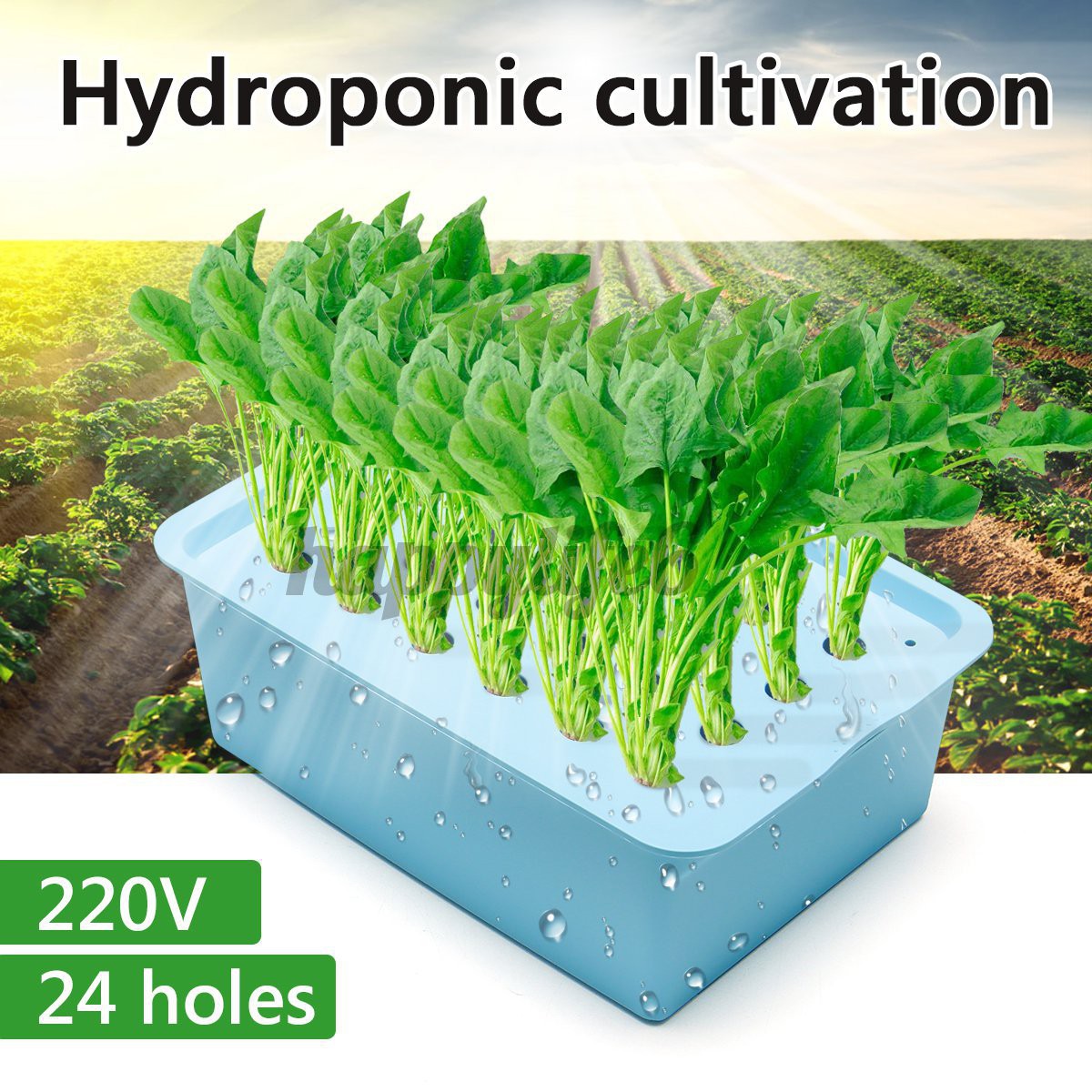 24 Plant Hydroponic System