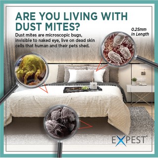 Dust Mite Removal Kit Natural Herbal x 6 Sachets ( Dust Mite Killer ...