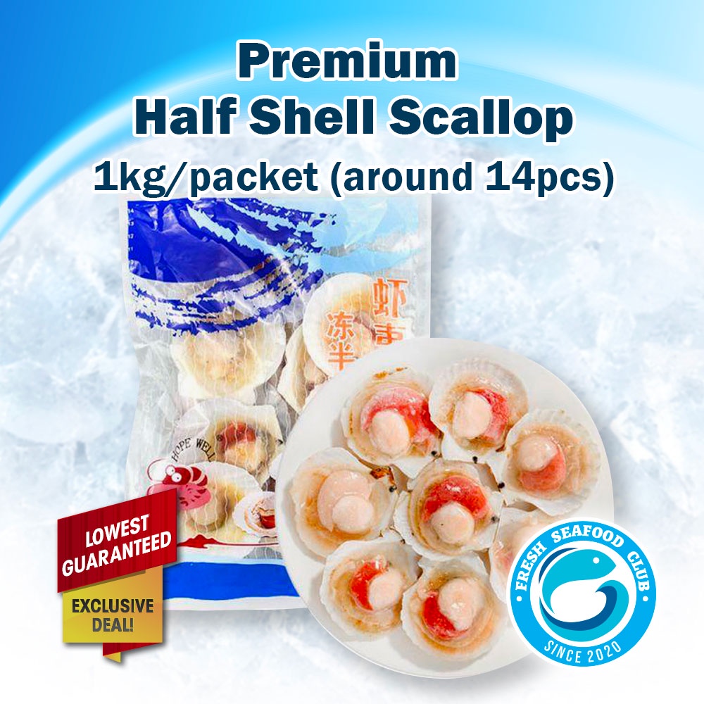 Premium Half Shell Scallop, Gross Weight:1kg/packet (around 14pcs ...