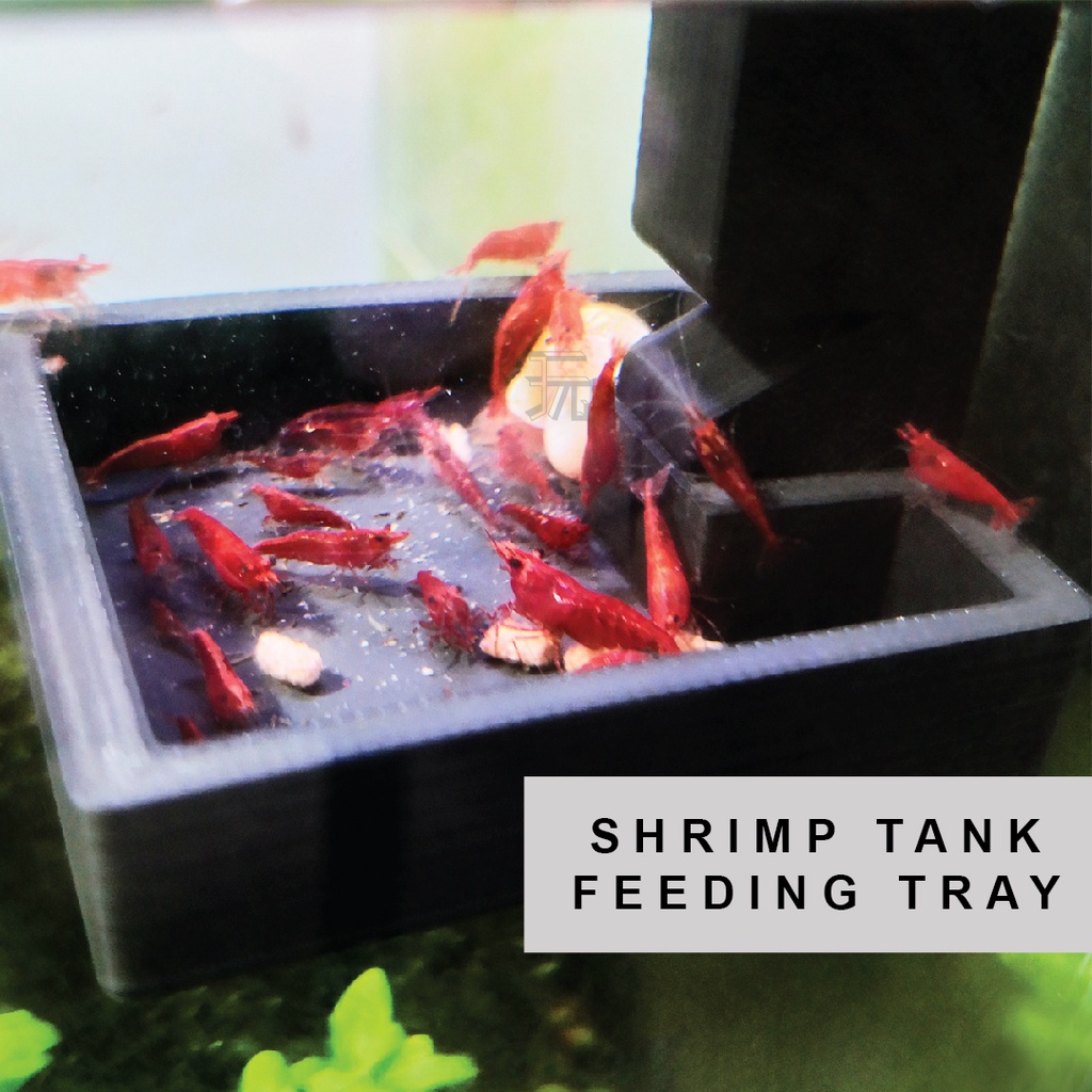 🇸🇬 Shrimp Tank Feeding Tray - 🦐 3D Printed Aquarium Accessories That ...