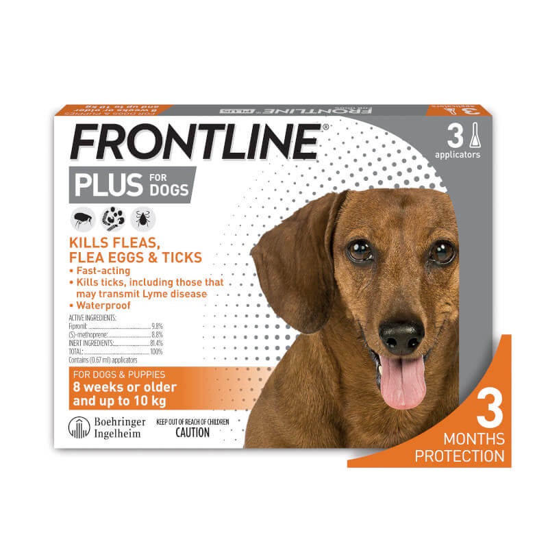 Is Frontline Safe For Older Dogs