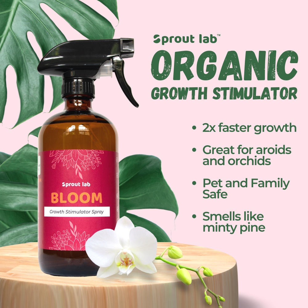 Sprout lab Official Store, Online Shop Mar 2023 | Shopee Singapore