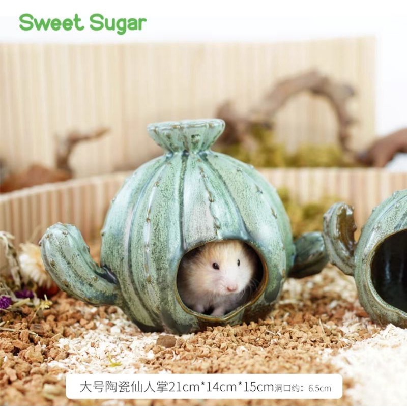 Sweet Sugar Cactus Hideout (Dwarf / Syrian/ Mice) | Shopee Singapore