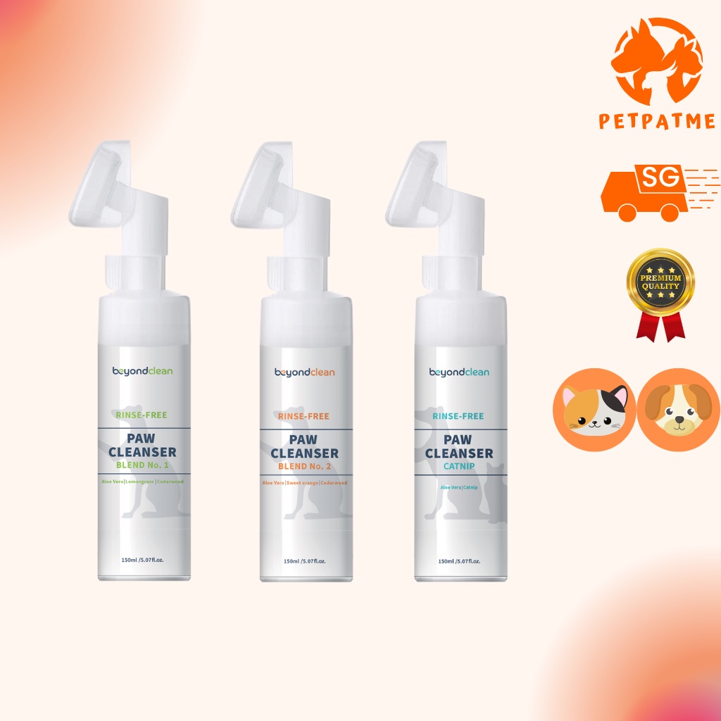 beyond - Prices and Deals - Dec 2022 | Shopee Singapore