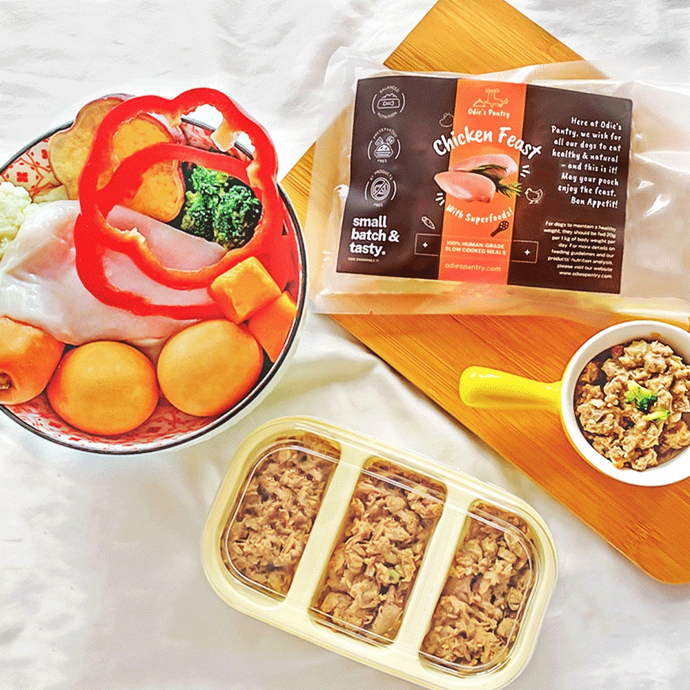 pet food - Prices and Deals - Feb 2023 | Shopee Singapore