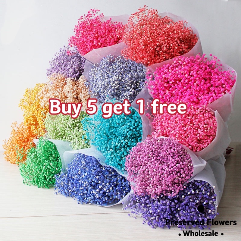 [SG Stock]Babybreath Preserved Flowers Dried Flowers Preserved Baby ...