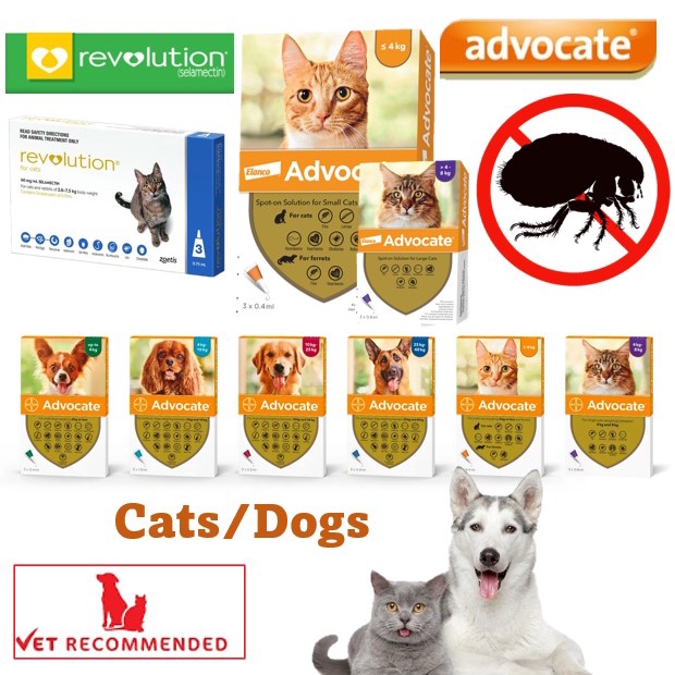 Are Dog And Cat Frontline The Same