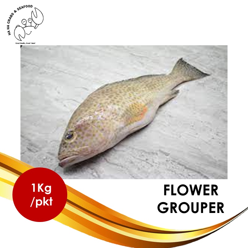 Flower Grouper (1Kg/Pkt) (3 to 6 Pcs) | Shopee Singapore