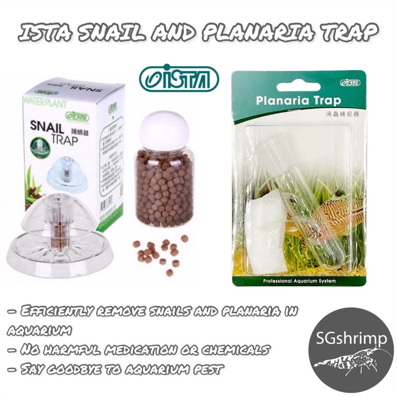 ISTA Snail Planaria Aquarium Pest Trap | Shopee Singapore