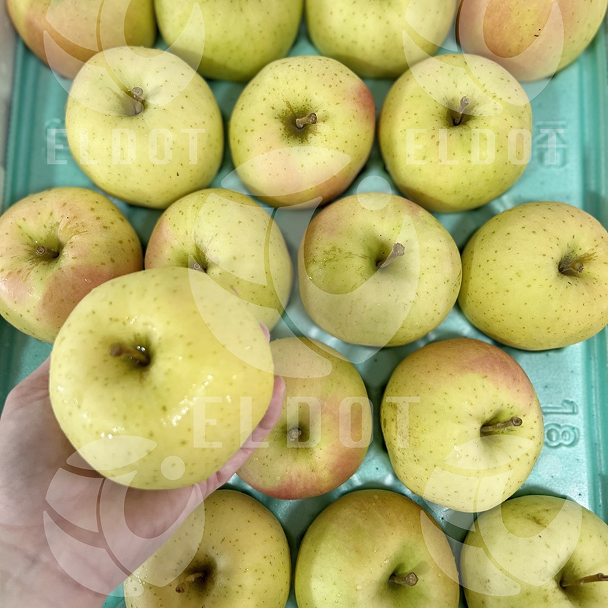 Japanese Toki Apples (Medium+ 3pcs/6pcs) | Shopee Singapore