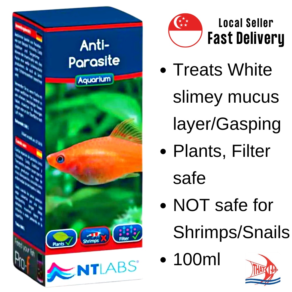 External Parasite Fish Medication NT Labs 100ml Anti-Parasite Aquarium ...