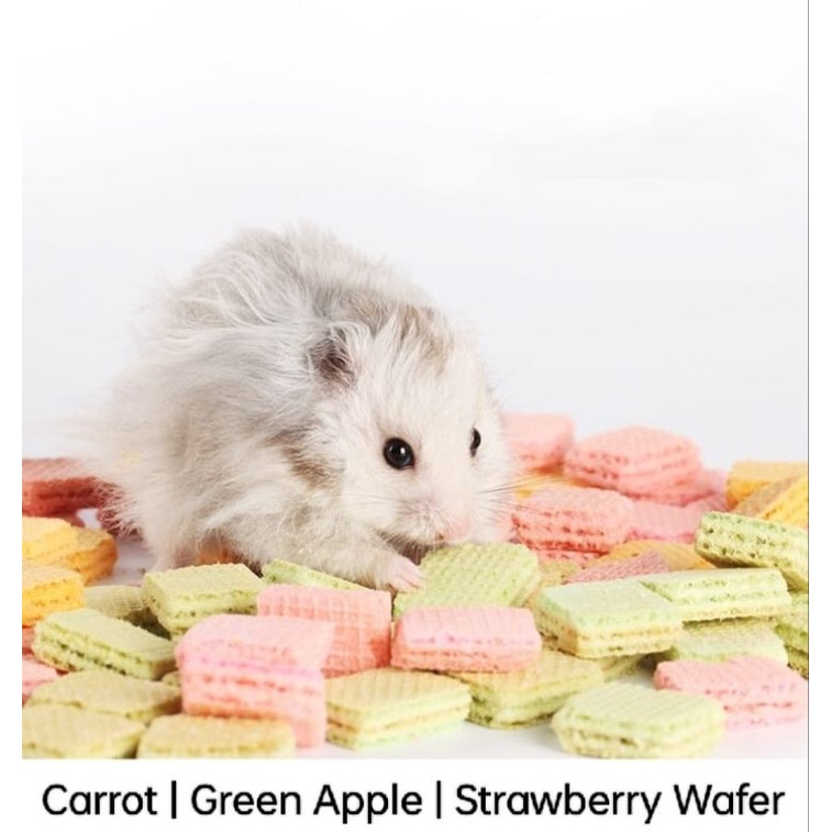 Hamster Wafer Biscuit Hamster Snack Fruit Flavour high fiber diet ...