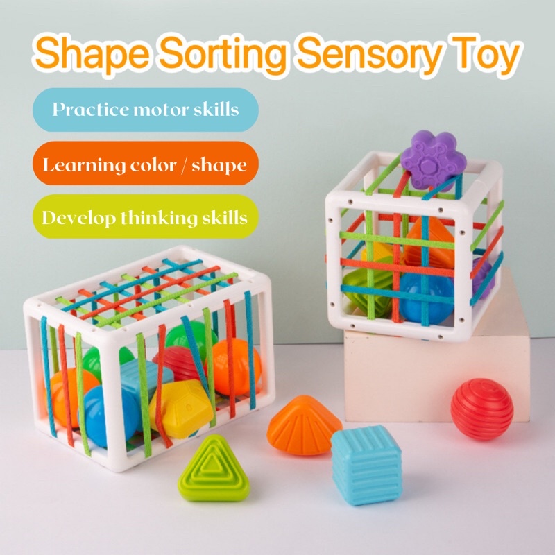 Baby Shape Sorting Toy Montessori Sensory Sorting Fine Motor Skill ...