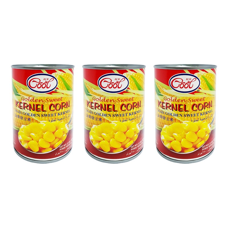 [Bundle of 3] Ice Cool Kernel Corn Eoe, 425G (Halal) | Shopee Singapore