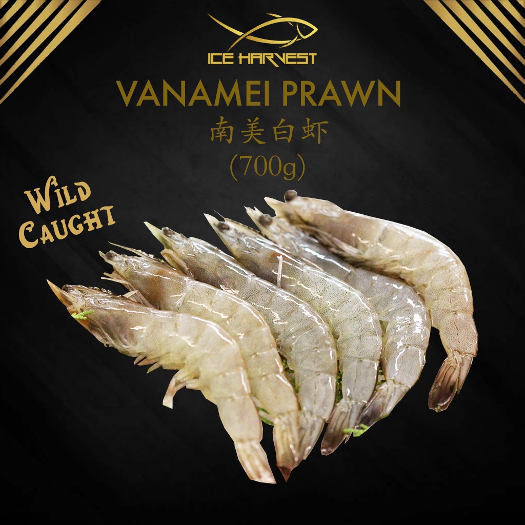 Vannamei Prawn 700g Head On Wild Caught Fresh Frozen 南美白虾 | Shopee ...
