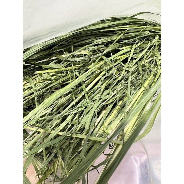Young Oat Hay 500g, for Rabbits, Chinchilla, Guinea Pig | Shopee Singapore