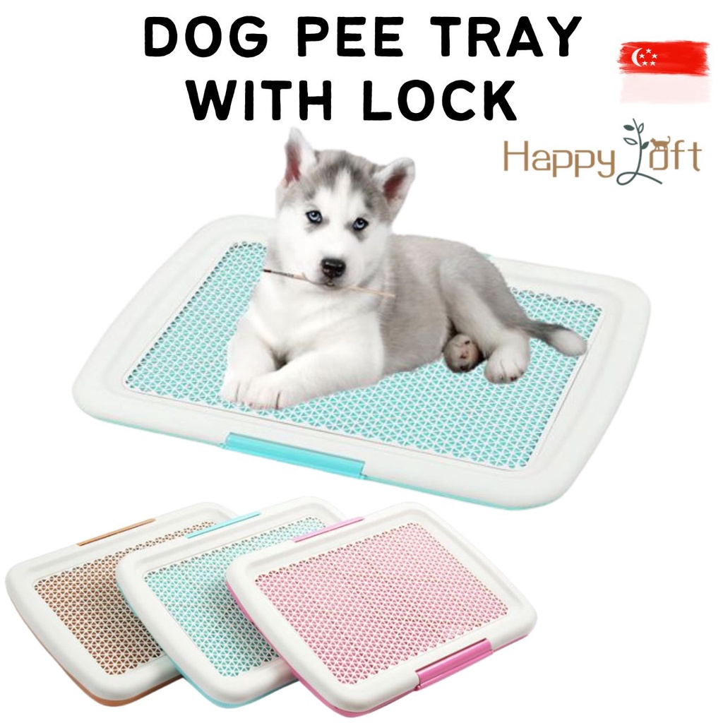 Dog pee tray Pet Toilet Pets Pee Tray - Flat Plate with Lock / Puppy ...