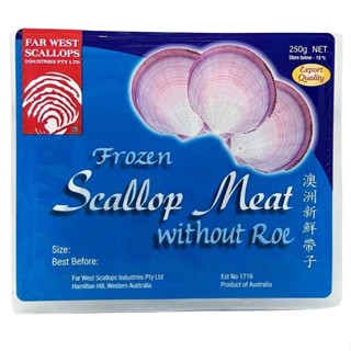 Frozen Clam Meat 1KG Isi Kerang | Shopee Singapore
