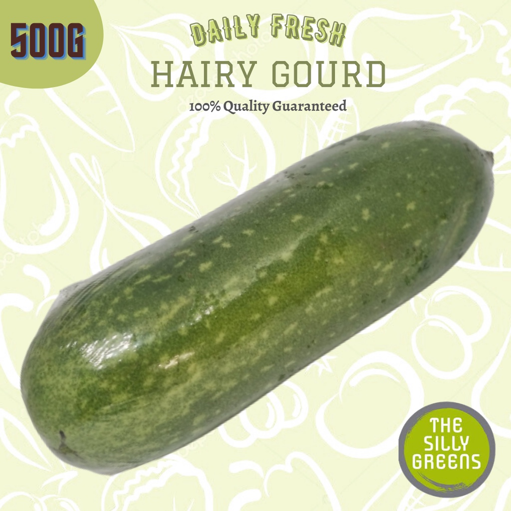 [TheSillyGreens] Hairy Gourd | 500g (1 pcs) | Shopee Singapore