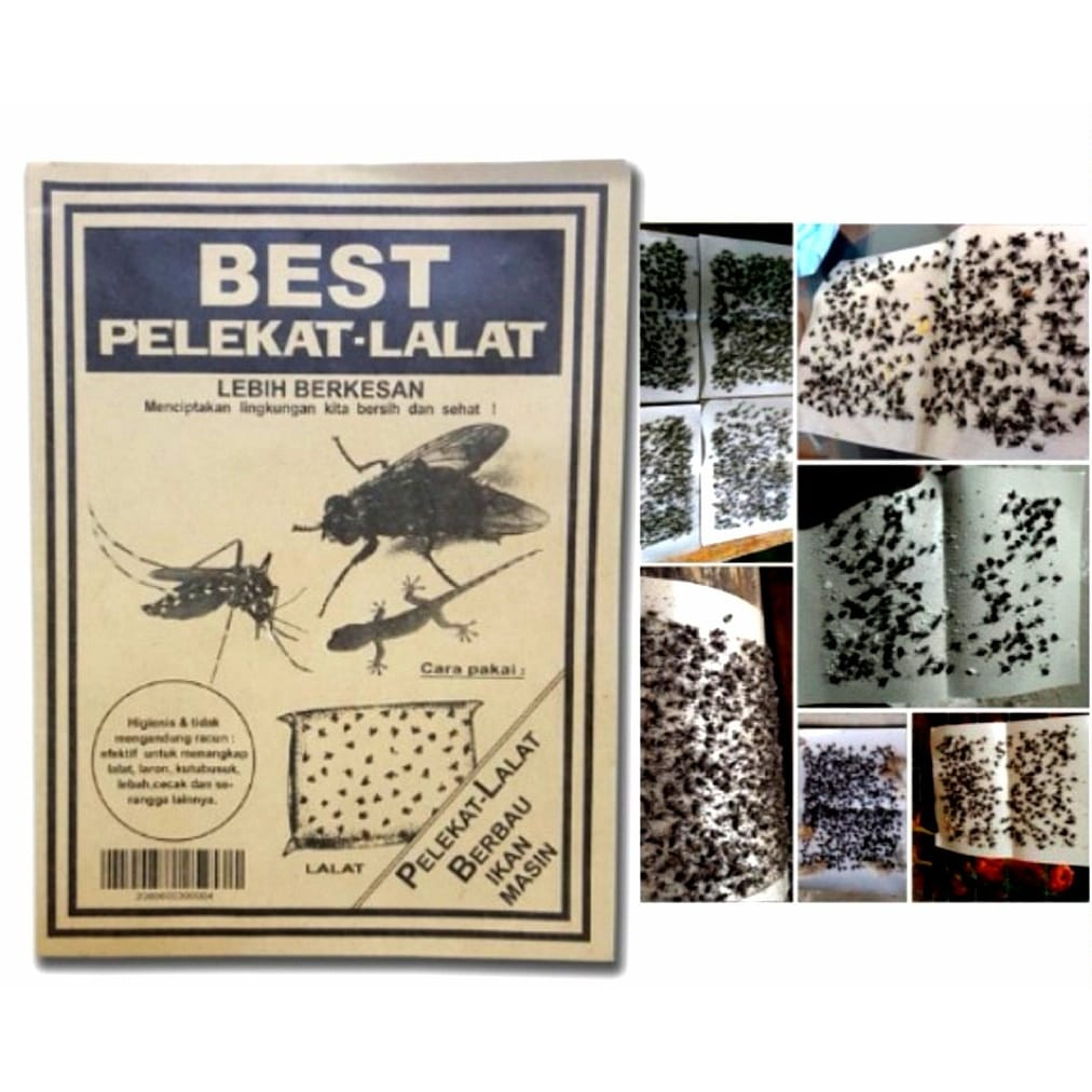 SUPER EFFECTIVE! Fly Mosquito Insect Lizard Glue Trap Paper 10pcs (Non ...