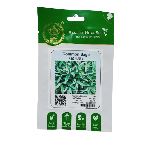 Ban Lee Huat Seed Local Singapore Grower's Choice Seed Common Sage ...